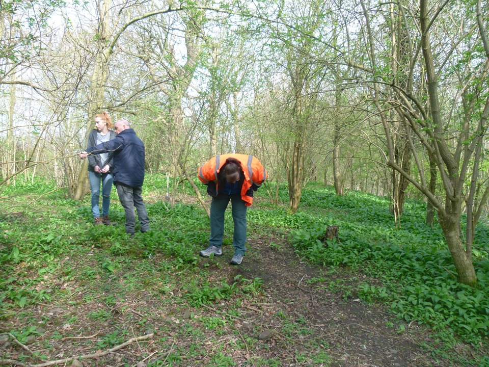 May 2019 – Caer Alyn