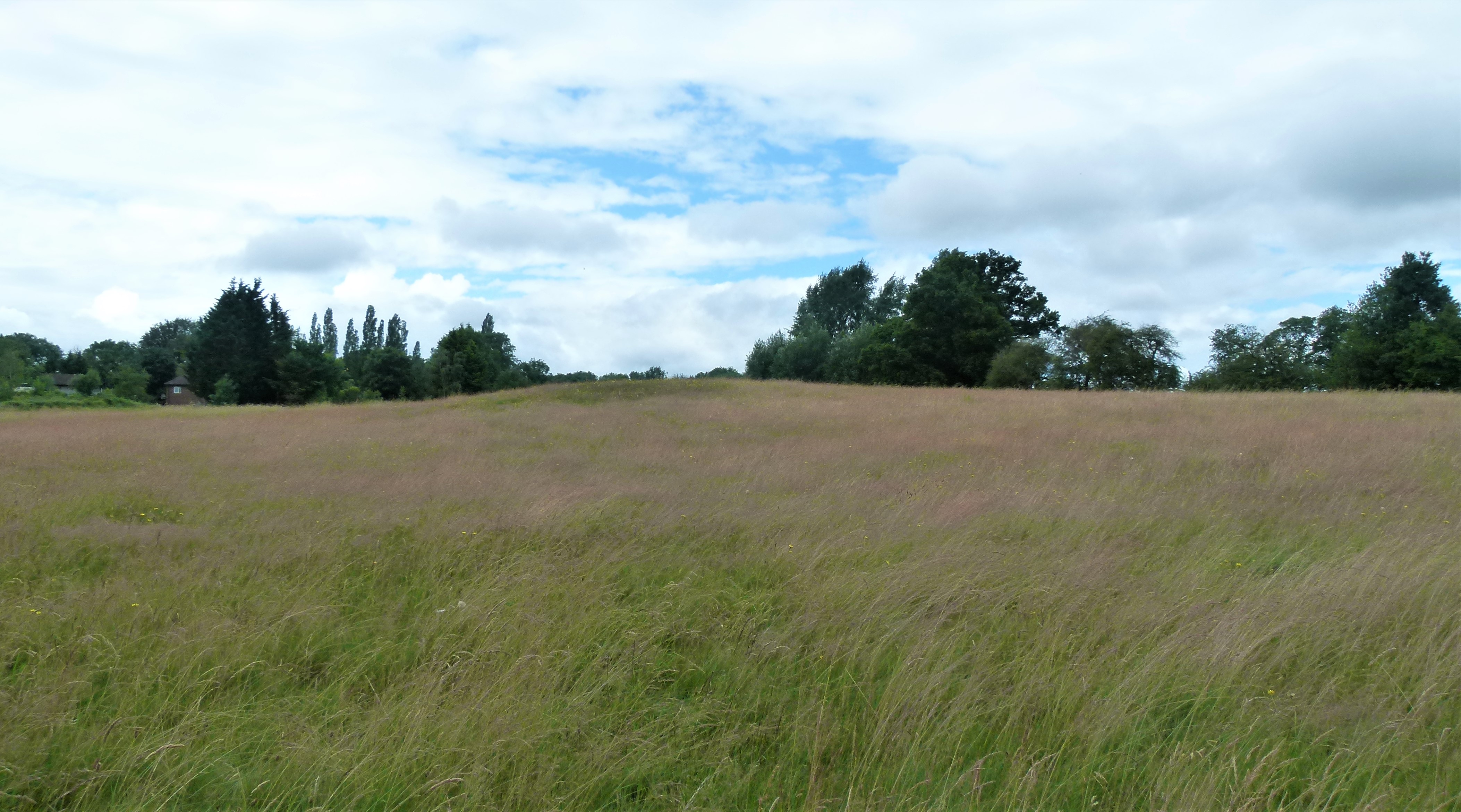 Caer Alyn during the Covid 19 pandemic. – Caer Alyn