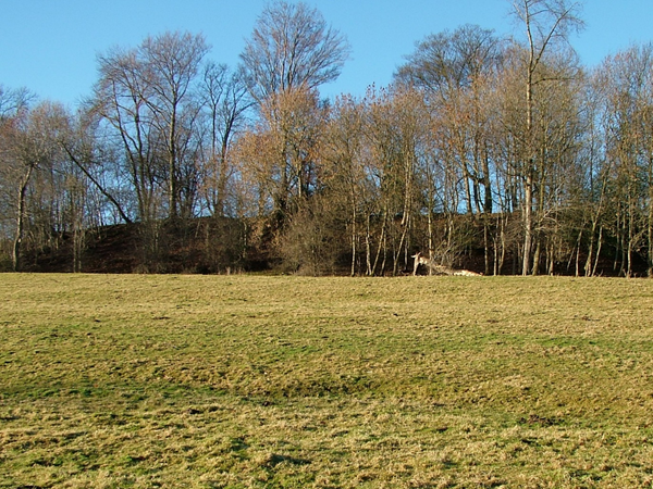 History and Archaeology – Caer Alyn