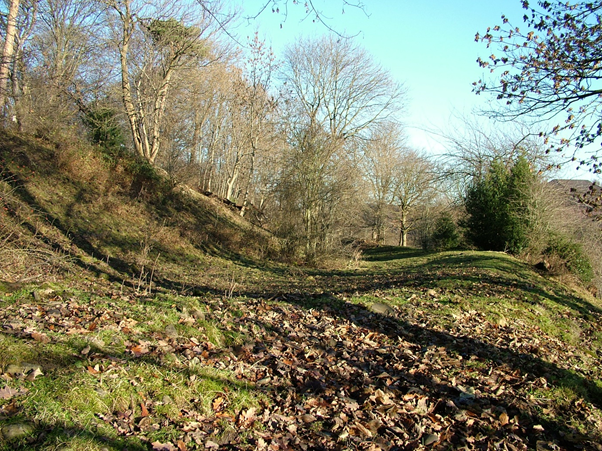 History and Archaeology – Caer Alyn