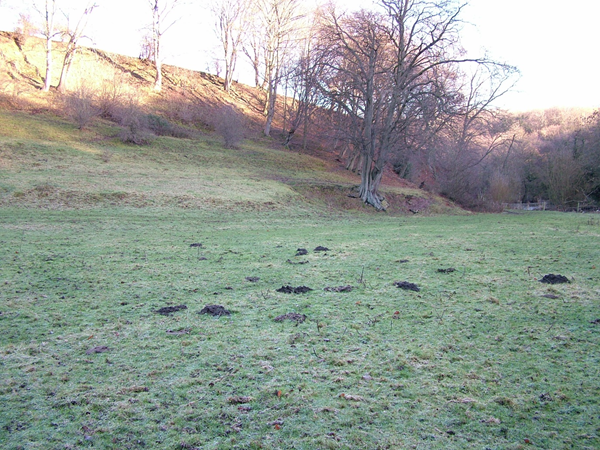 History and Archaeology – Caer Alyn