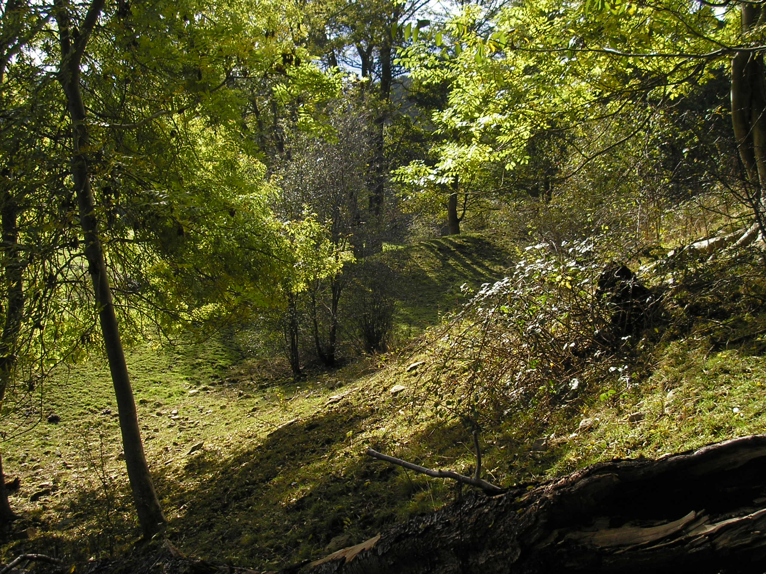 Site Gallery – Caer Alyn